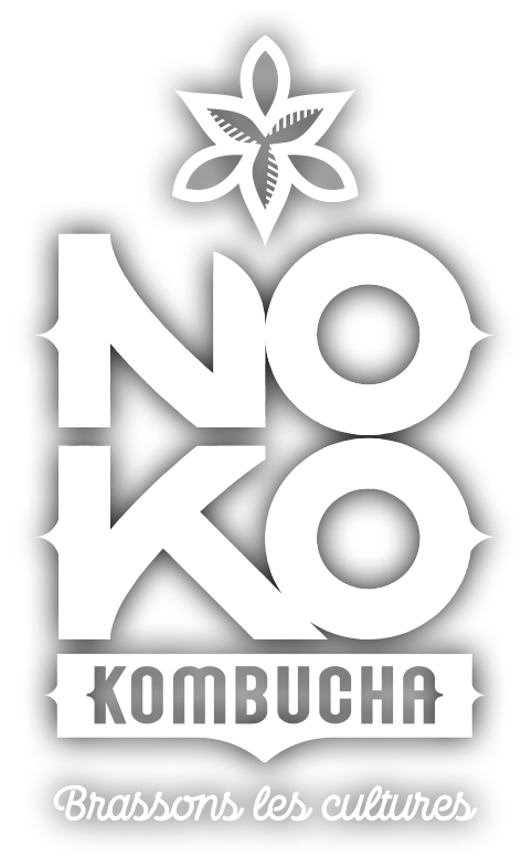 Noko Kombucha par la Brasserie du Pays Flamand - Brassons les Cultures